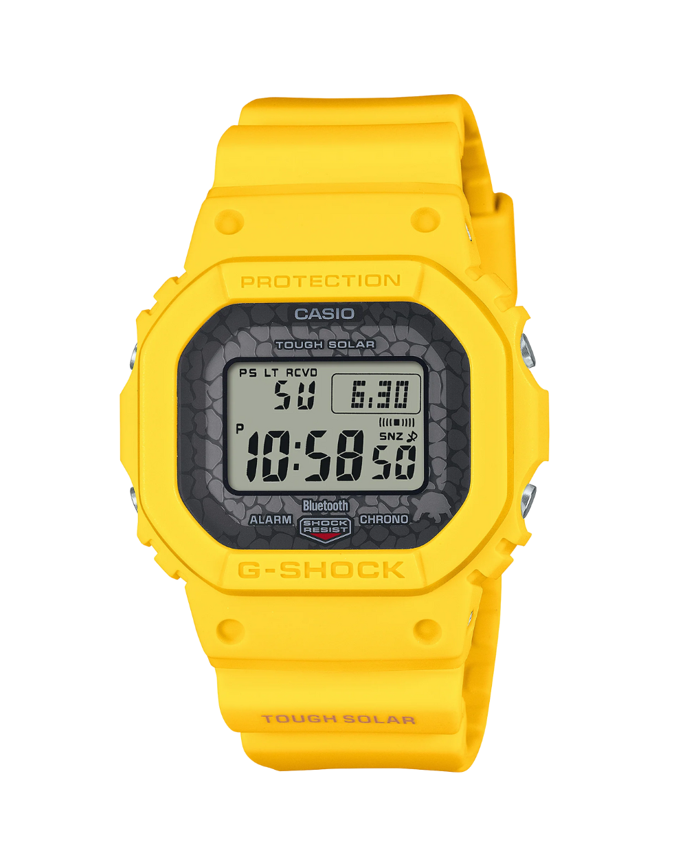 G-Shock Charles Darwin Collab Solar Watch - GWB5600CD-9D – Cosmoshop NZ